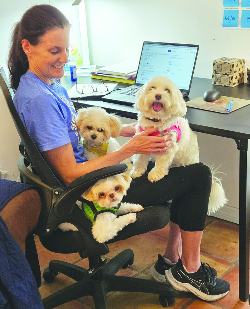 Pet Matters - Hobe Sound Reflections